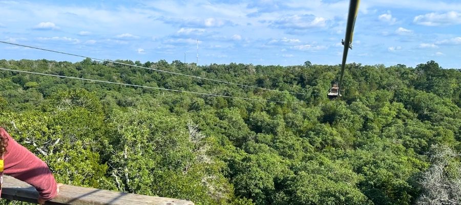 What to Expect on Your First Zipline Adventure Near Austin